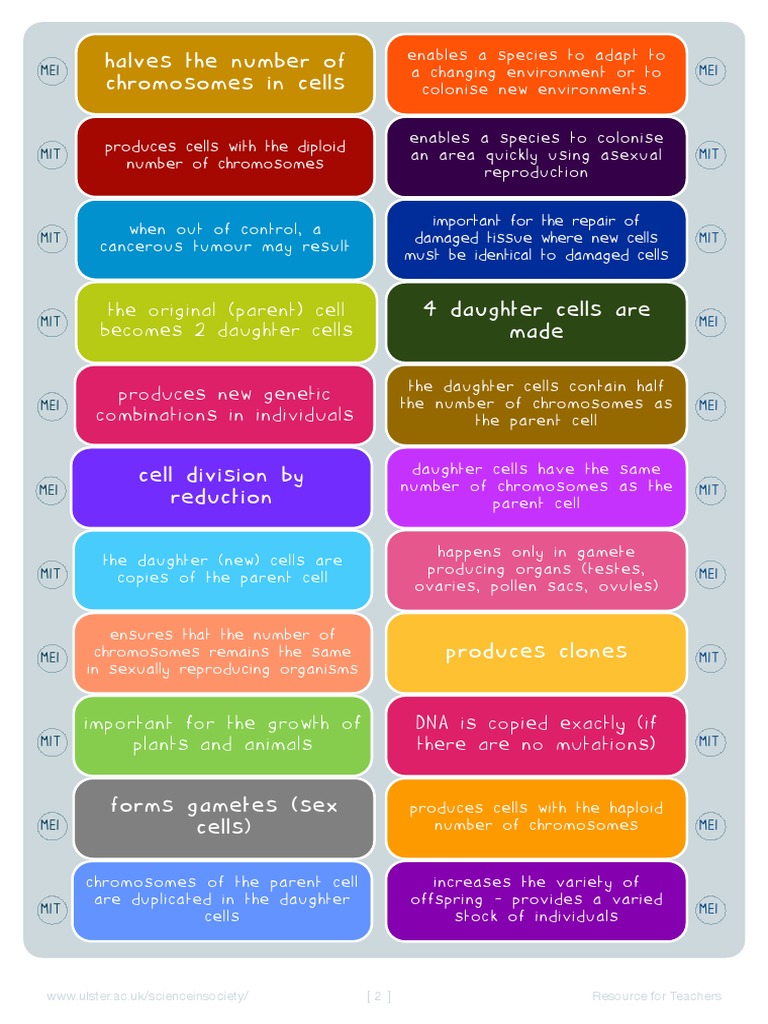 Mitosis Vs Meiosis Card Sort | PDF | Sexual Reproduction | Chromosome