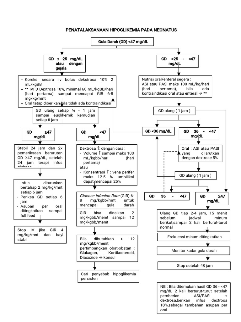 Penatalaksanaan Hipoglikemia Pada Neonatus | PDF