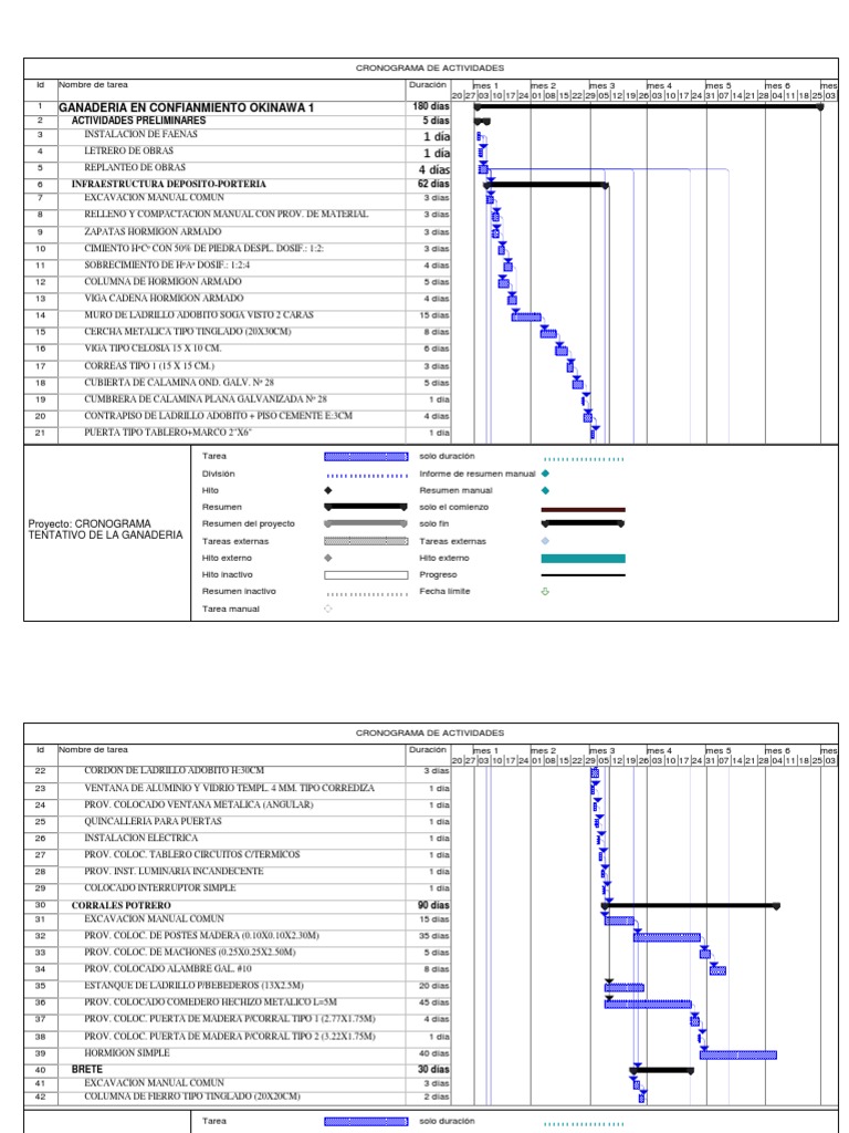 Cronograma de Ejecucion Confinado | PDF | Materiales | Horticultura y jardinería