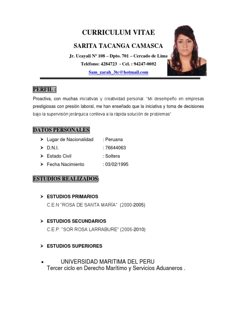 Curriculum Vitae Derecho | PDF