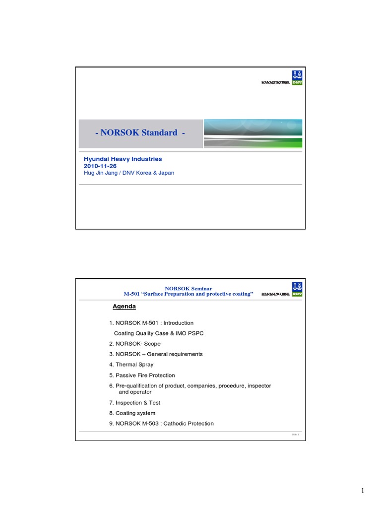 Norsok Guideline | PDF | Galvanization | Corrosion