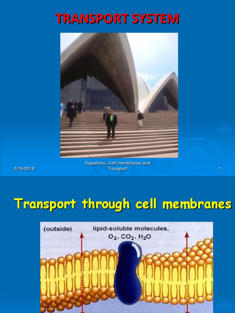 Cell Membrane Transport | PDF | Cell Membrane | Osmosis