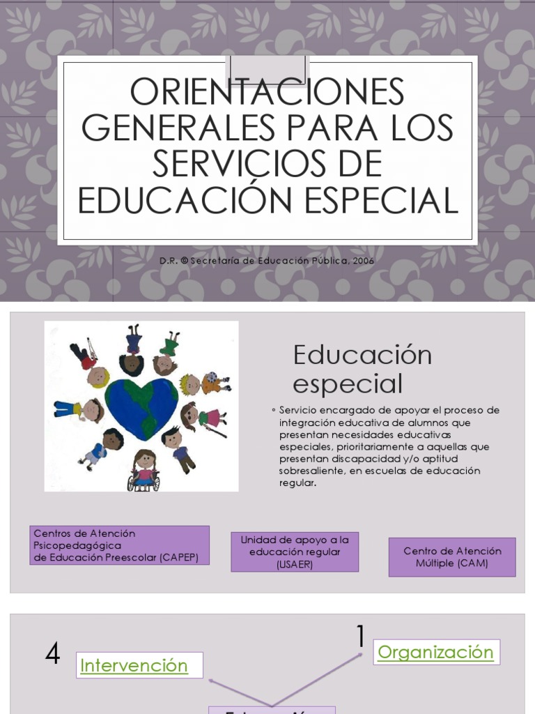 Orientaciones Generales para Los Servicios de Educación Especial | PDF | Evaluación | Cambio