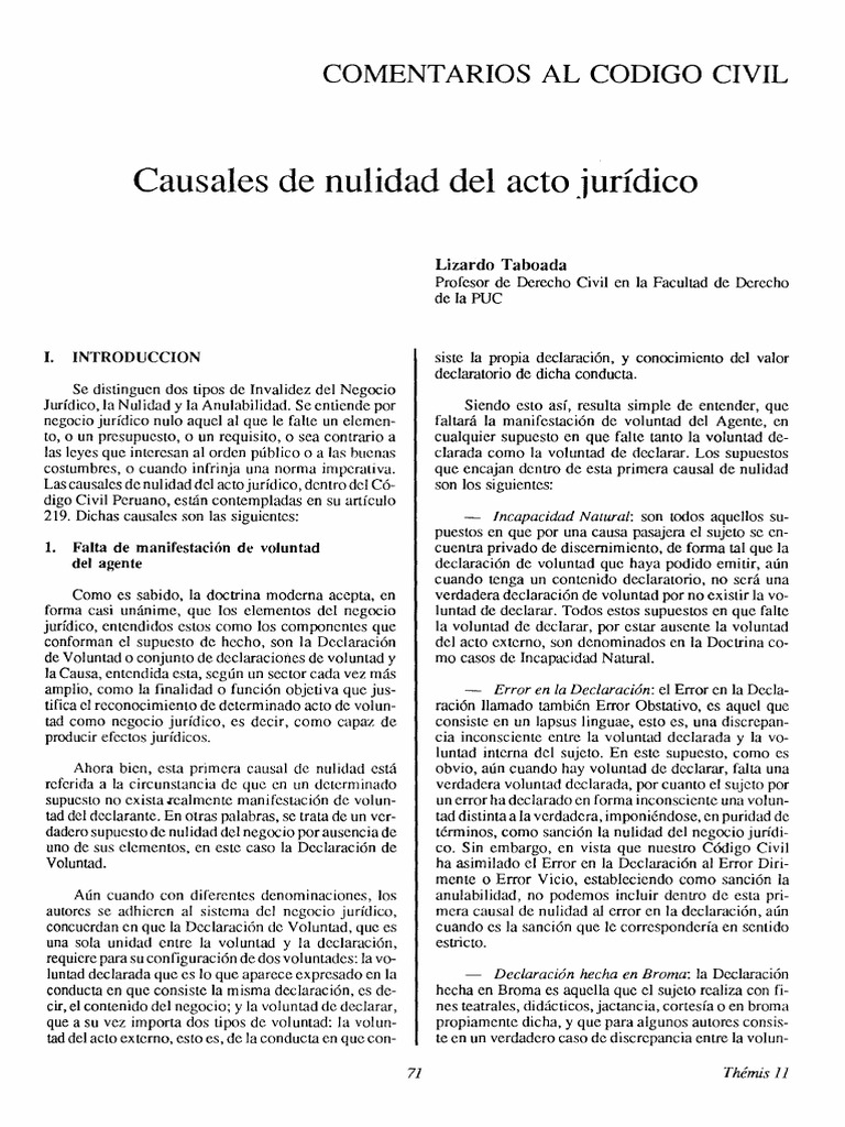 Lizardo Taboada Causales de Nulidad | PDF | Nulo (ley) | Teoría
