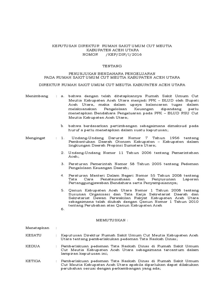 Contoh SK Kebijakan Tata Naskah Dinas | PDF