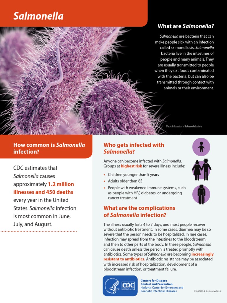 CDC Salmonella Factsheet | PDF | Salmonella | Infection