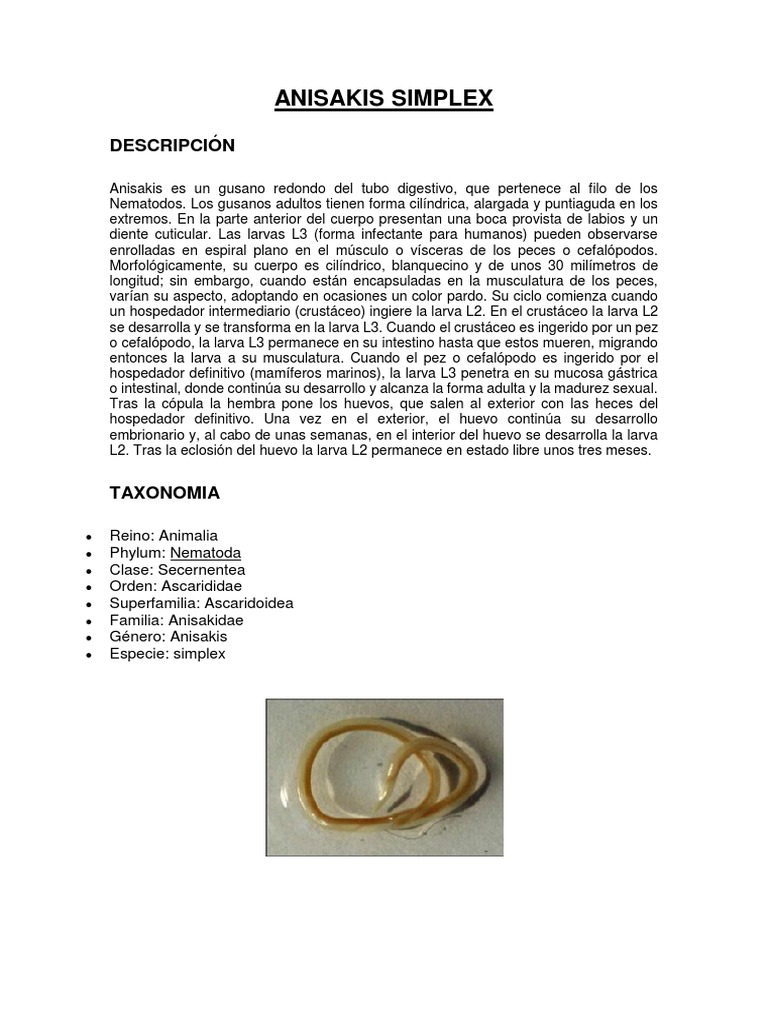 Anisakis Simplex | PDF | Organismos | Enfermedades animales