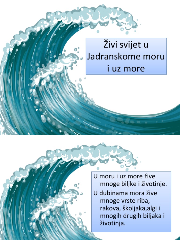 Zivi Svijet U Jadranskome Moru I Uz More 3.r. | PDF