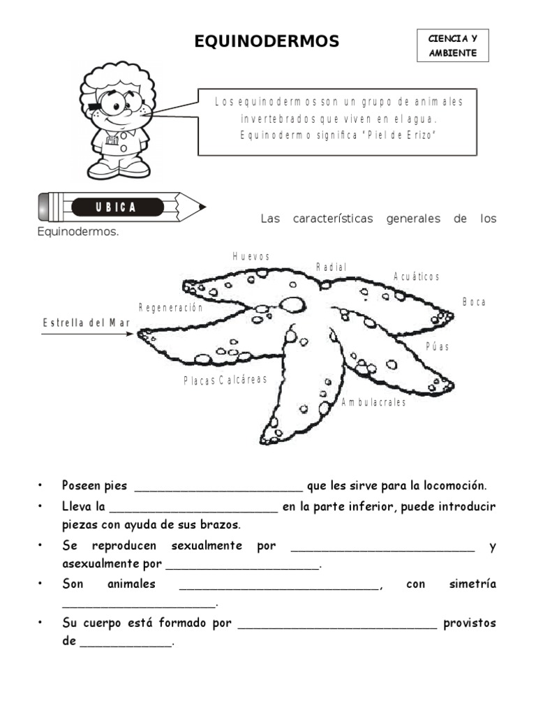 Clases 4to Bimestre | PDF