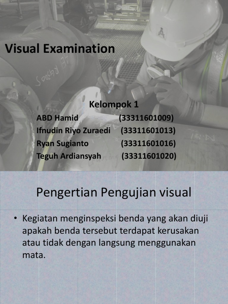 Visual Examination | PDF