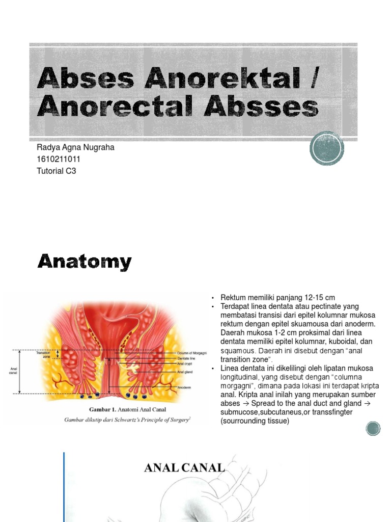 Abses Anorektal | PDF | Medical Specialties | Medicine