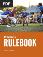 Quidditch Positions and Rules Explained | PDF