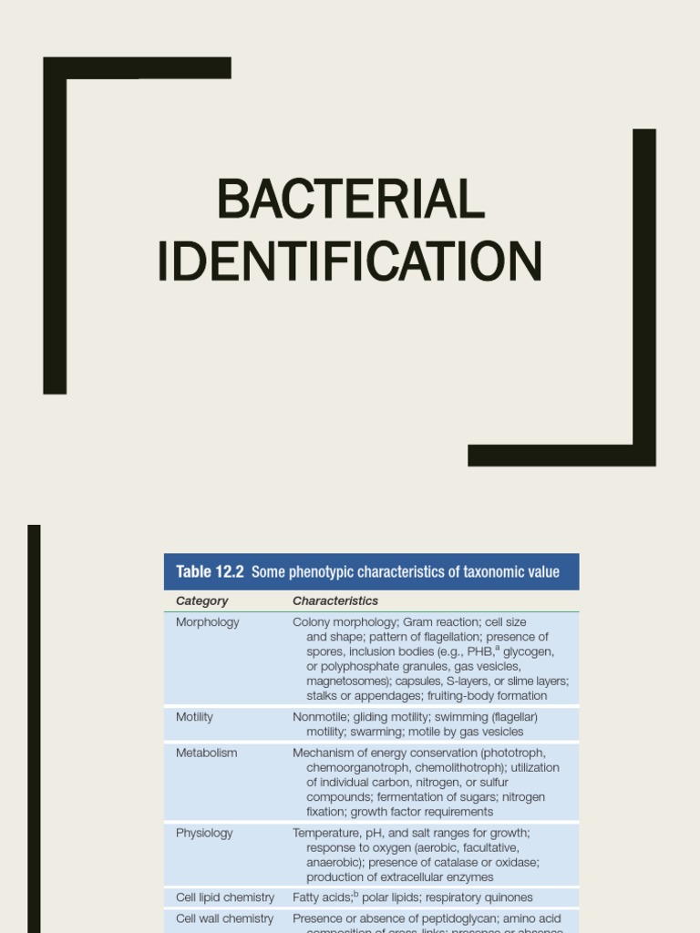 Bacterial Identification Pdf | Identification of Bacterial Species – FTWJBS