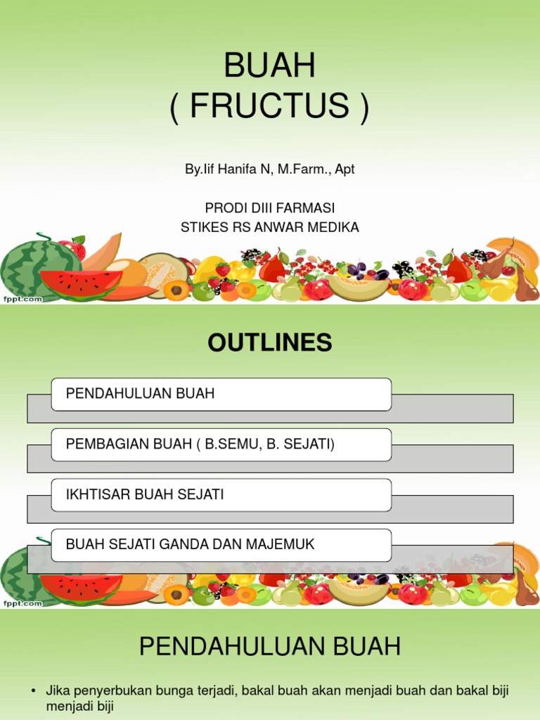 Morfologi Buah | PDF