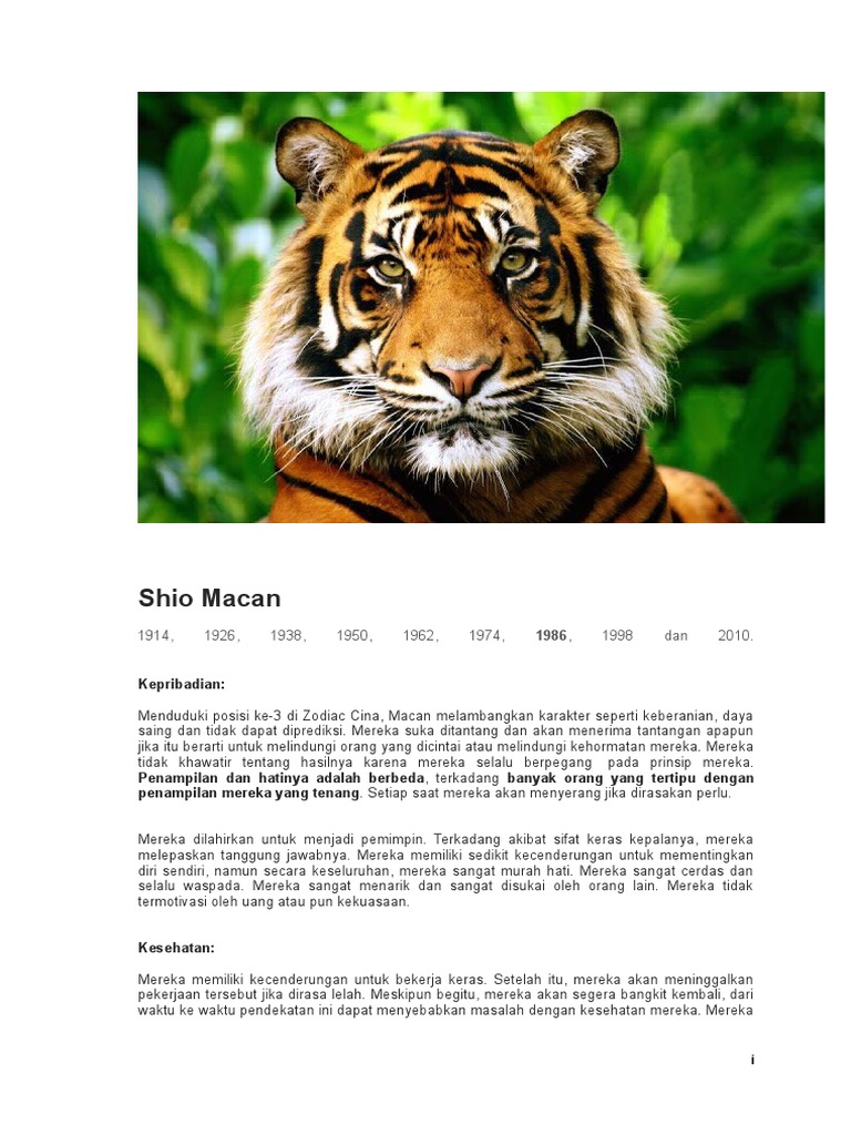 Shio Macan: Kepribadian | PDF