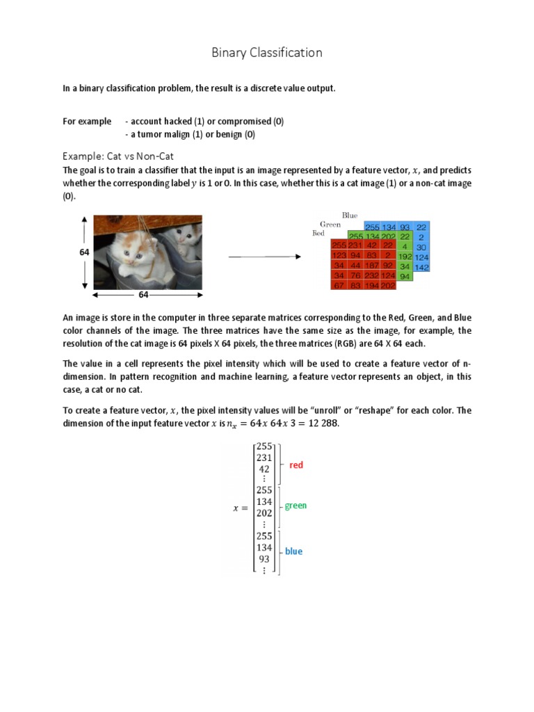 Binary Classification | PDF | Statistical Classification | Computational Science