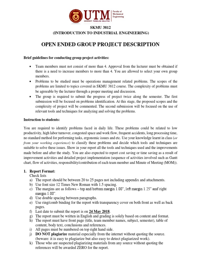 Group Project Guidelines for SKMU 3812 | PDF | Business