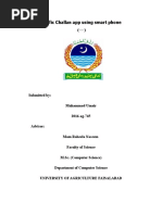 PNU Banner System Improvements | PDF | Information | System