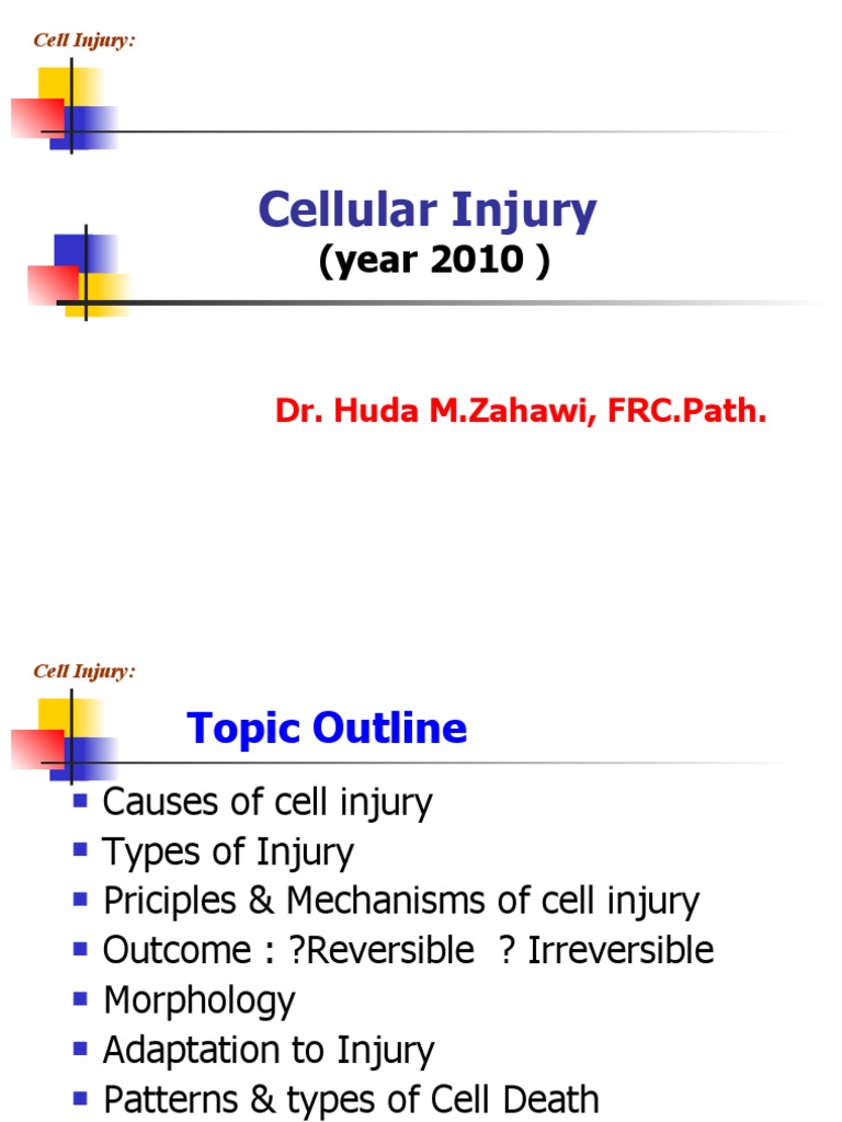 Pathology, Lecture 2, Cell Injury (Slides) | PDF | Medical Specialties ...
