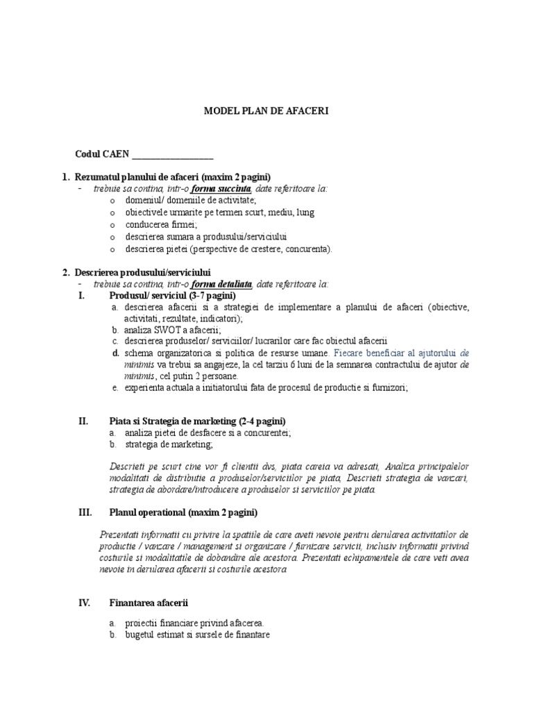 Plan de Afaceri: Ghid Complet și Anexe | PDF | Business | Finance & Money Management