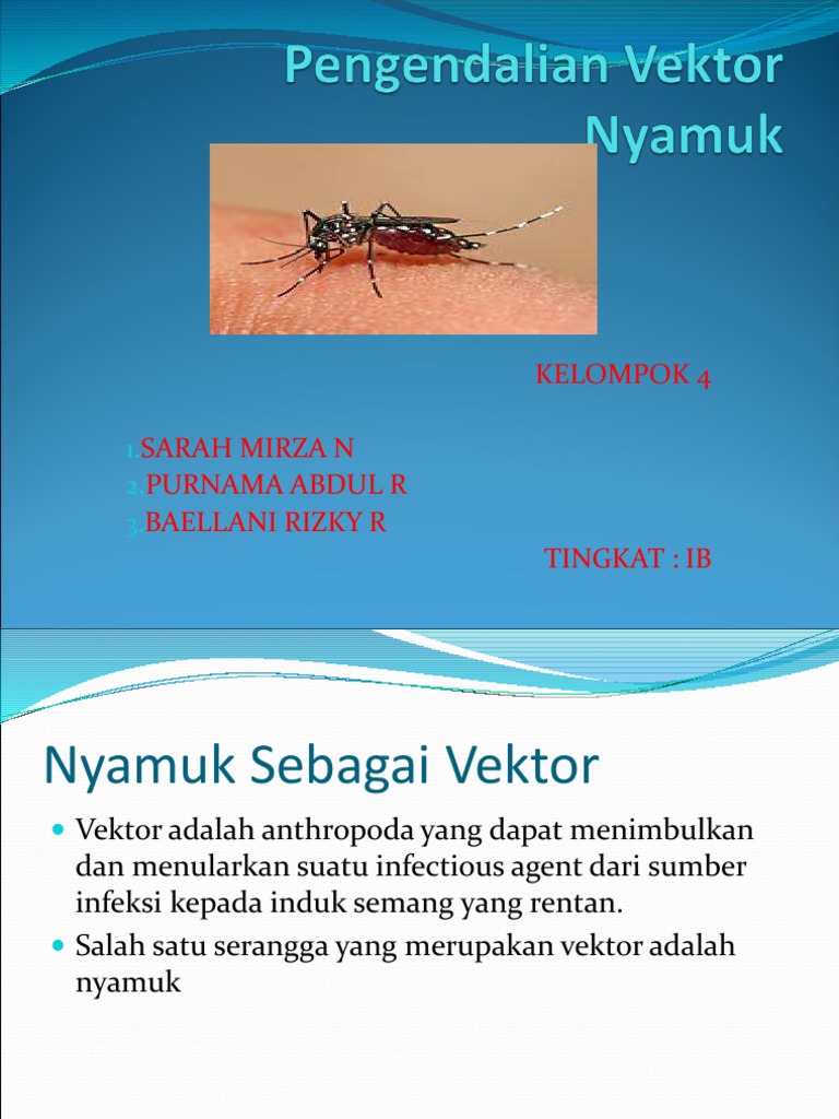 Pengendalian Vektor Nyamuk | PDF