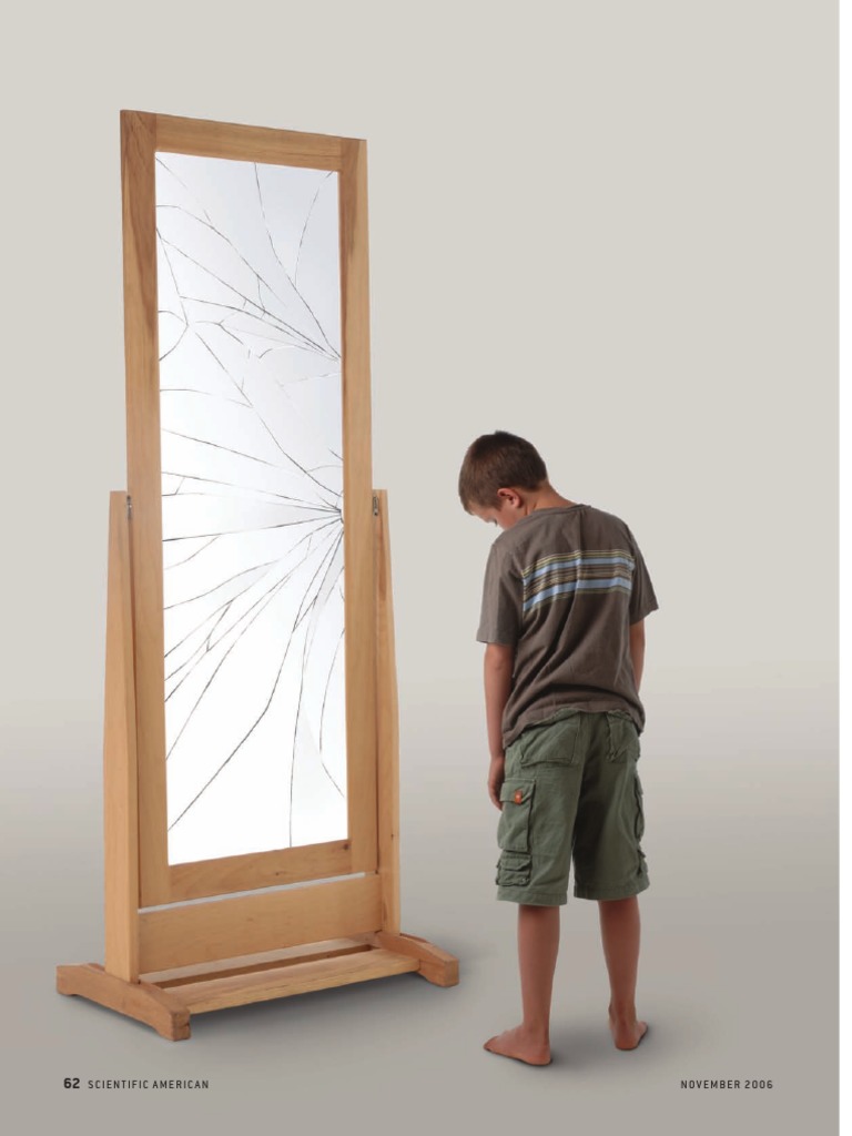 Broken Mirrors | PDF | Autism | Amygdala