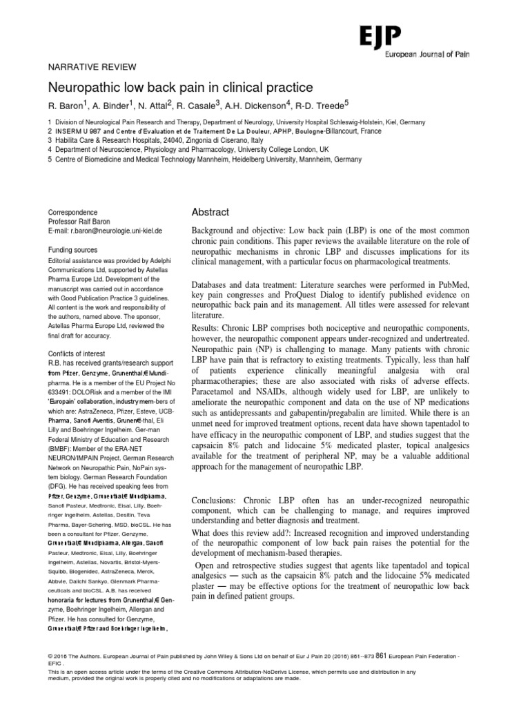Neuropathic Low Back Pain in Clinical Practice | PDF | Antidepressant ...