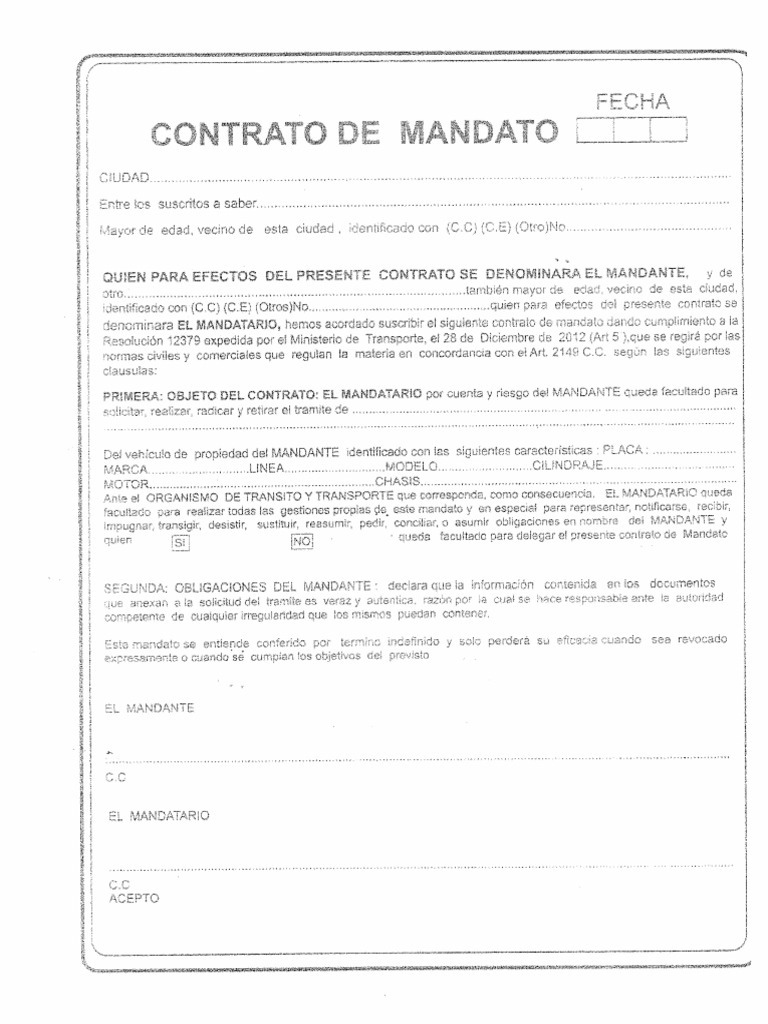 Contrato de Mandato 2 | PDF