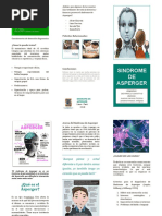 CAMI Questionnaire | PDF | Psychiatric Hospital | Mental Disorder