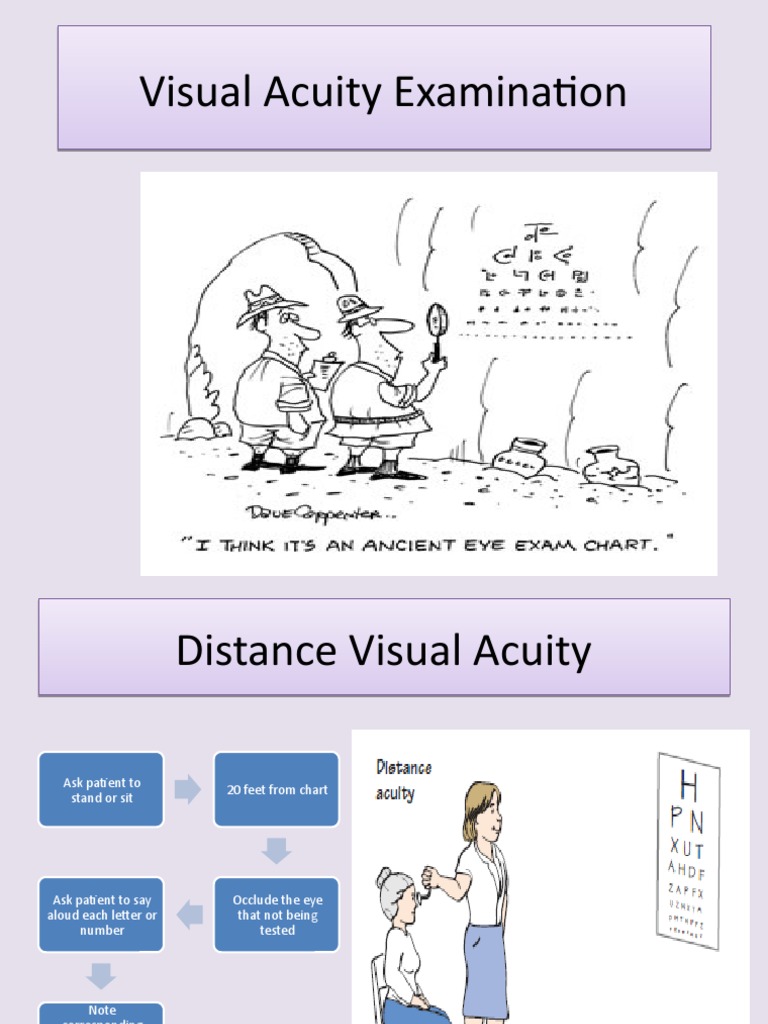 Visual Acuity Examination | Download Free PDF | Visual Acuity ...