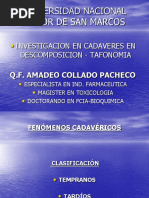 Putrefaccion y Fases | PDF | Descomposición | Especialidades Medicas