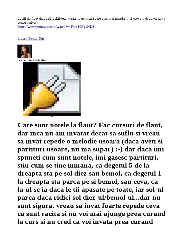 Lectii Flaut Dulce Si Linkuri | PDF
