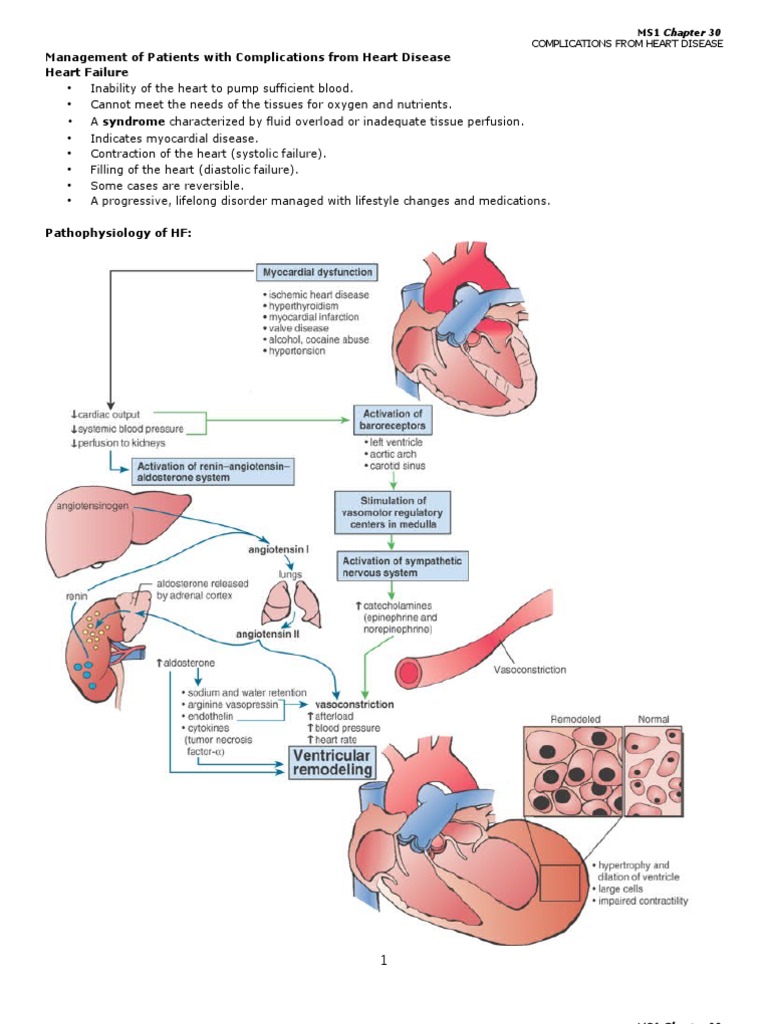 Chap.30 Complications From Heart Disease Word | PDF | Heart Failure ...