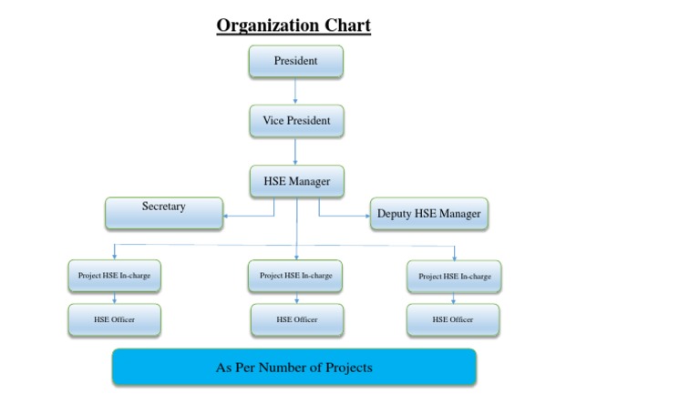 HSE Organization Chart | PDF