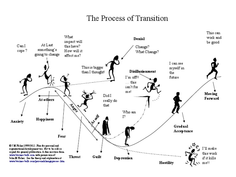 Process Of Transition Jf 2012 Pdf Action Philosophy Emotions