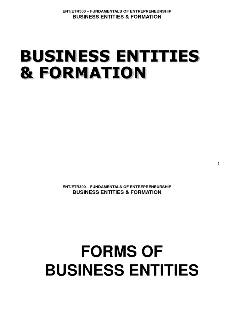 Ent300 - Module05 - Business Entities & Formation | PDF | Franchising ...