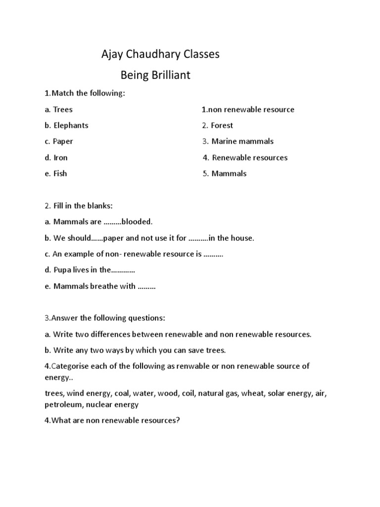 Test Paper For Kids | PDF