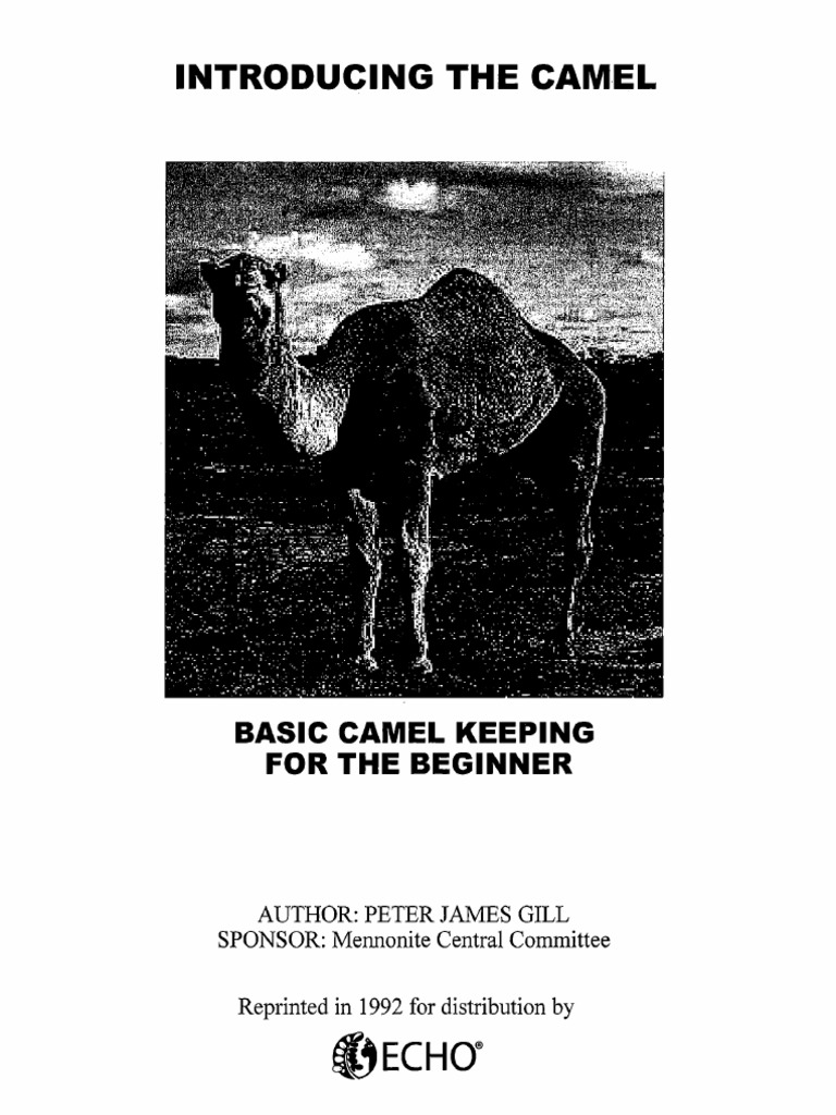 Basic Camel Keeping For Beginners | PDF