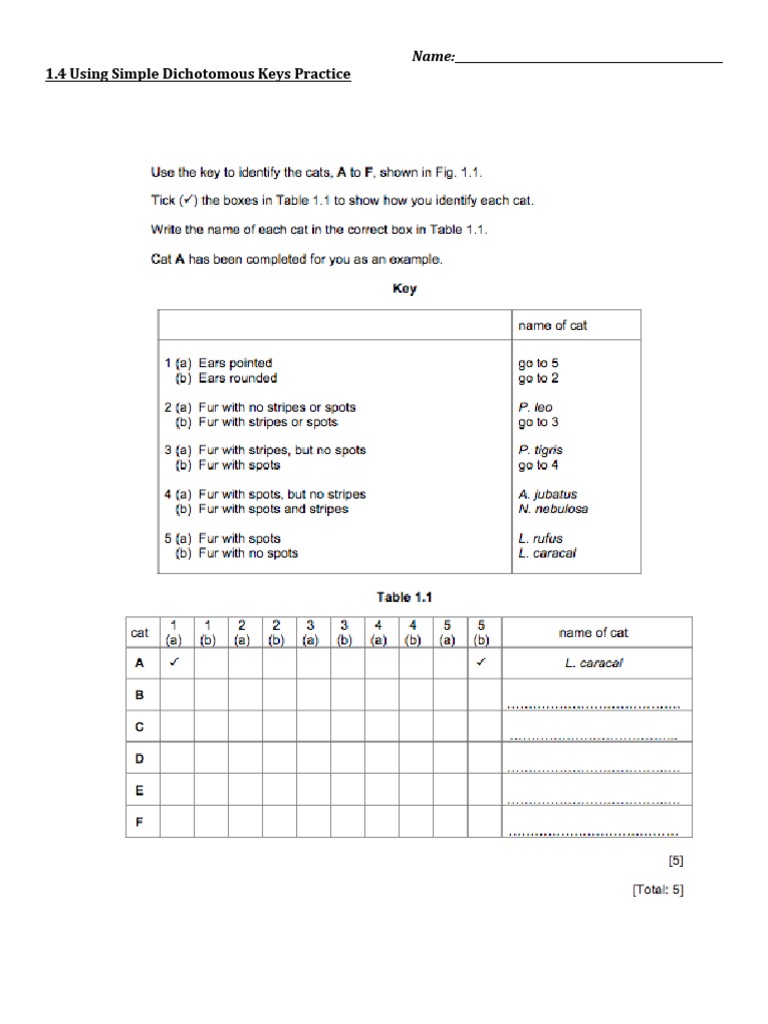 Dichotomous Key Practice | PDF