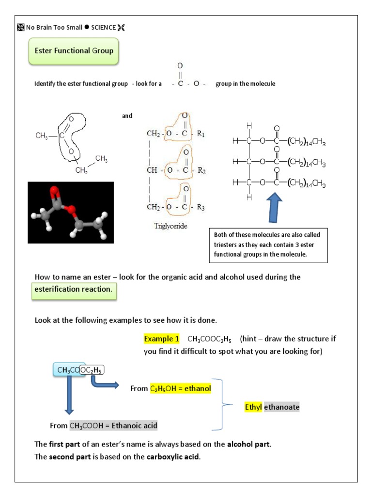 Esters Worksheet PDF | PDF | Ester | Alcohol