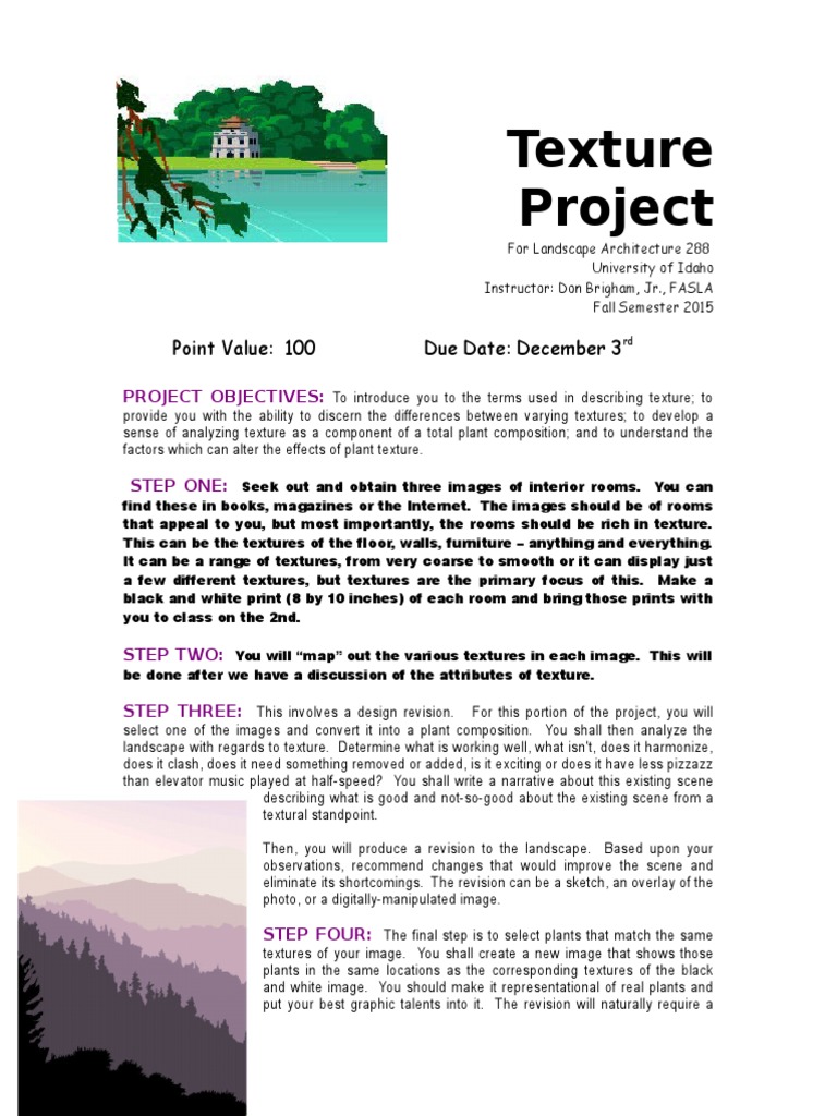 Texture Project: Point Value: 100 Due Date: December 3 | PDF