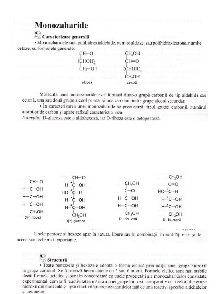 Presentation2 Monozaharide Cls 11 | PDF