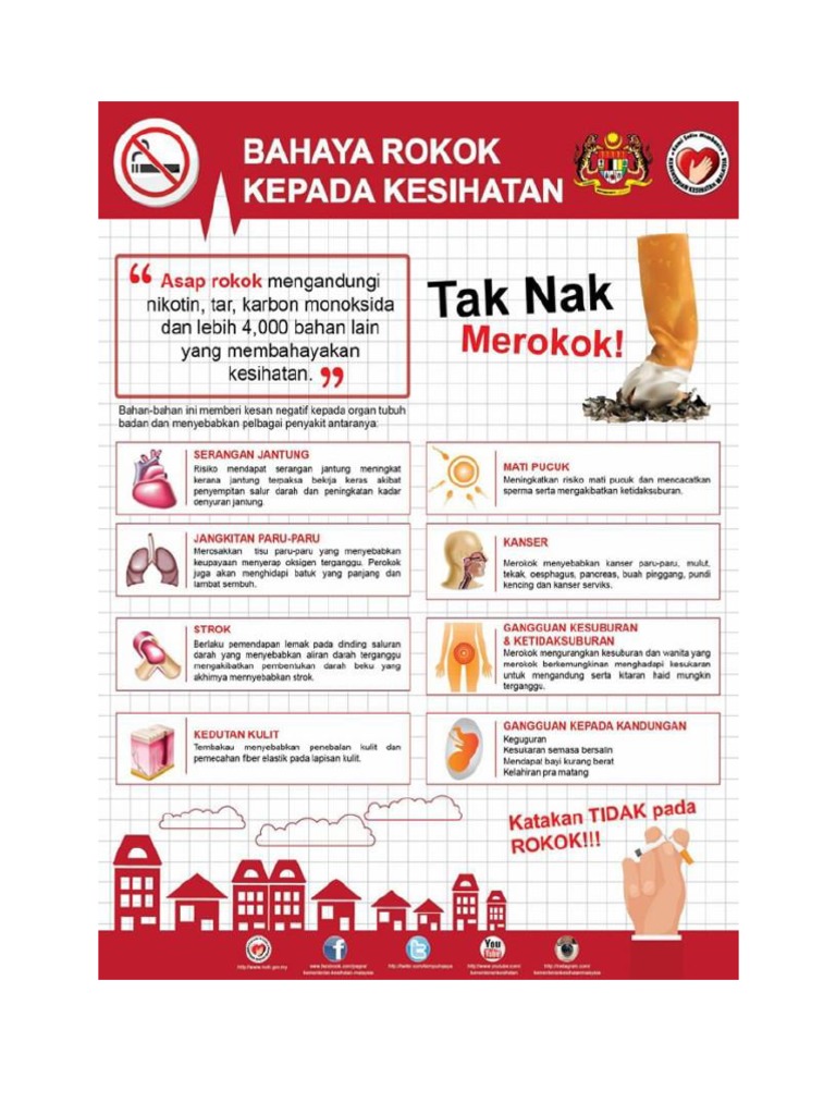 Bahaya Rokok 2 | PDF