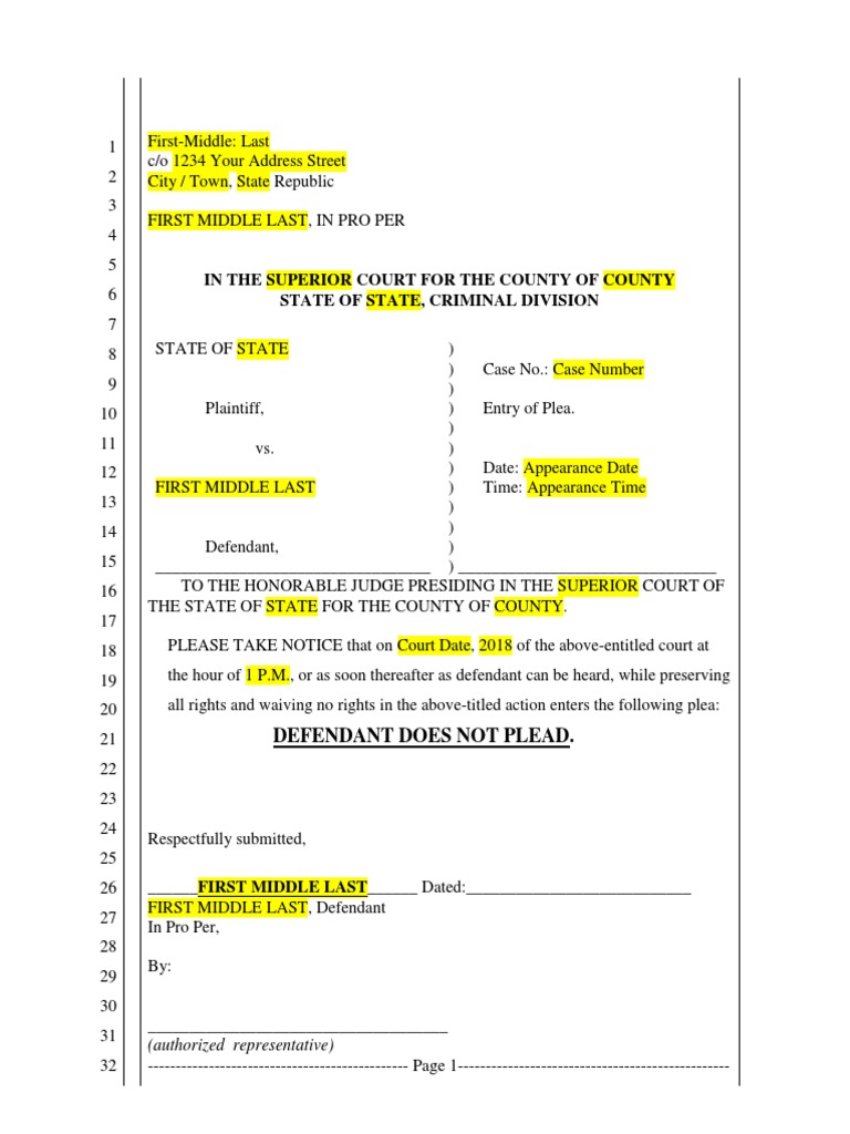 Motion Entry No Plea Template | PDF