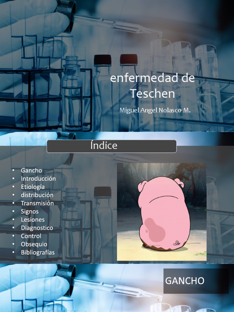 Enfermedad de Teschen en Cerdos | PDF | Virus | Especialidades Medicas