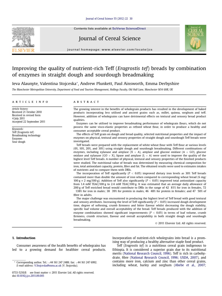 Enzyme-Enhanced Teff Breadmaking | PDF | Sourdough | Breads