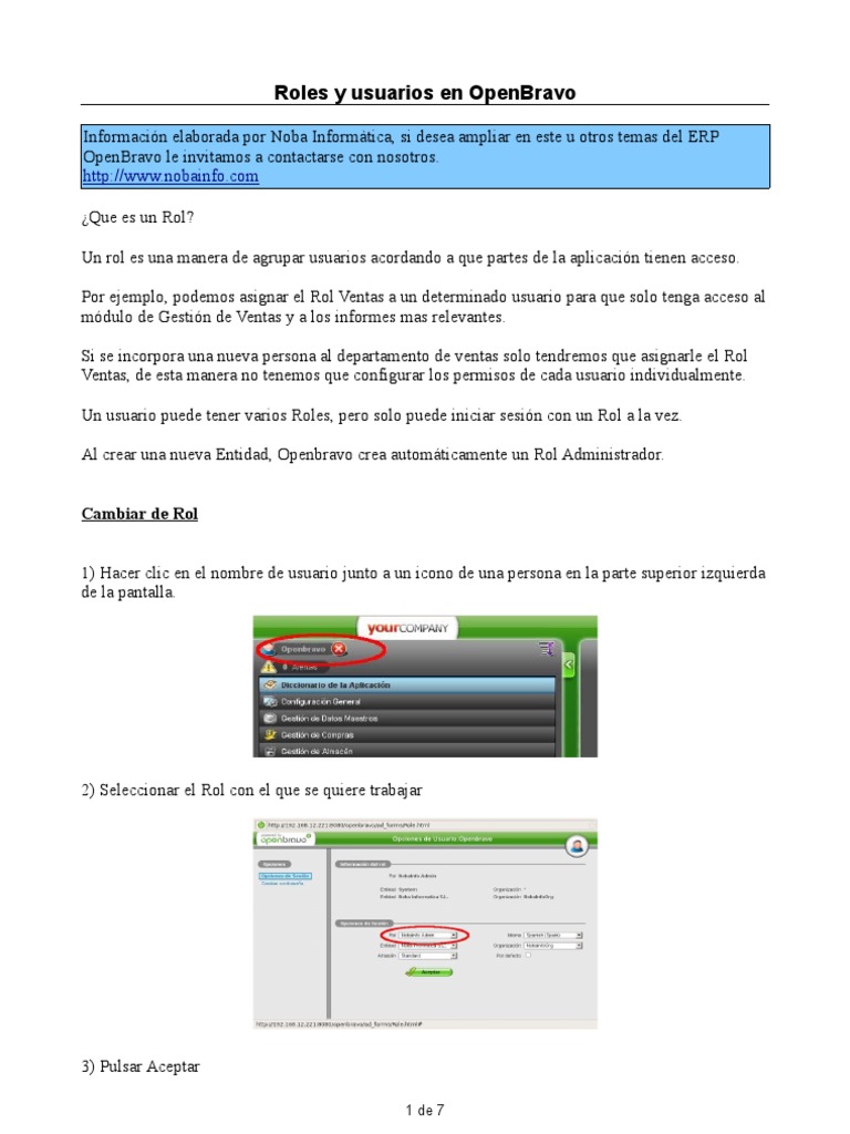 Manual Roles y Usuarios | PDF | Point and Click | Ventana (informática)