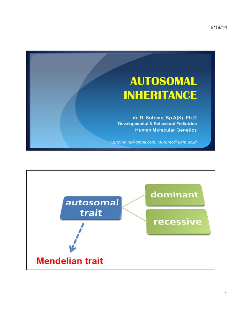 Autosomal Inheritance | PDF | Dominance (Genetics) | Heredity