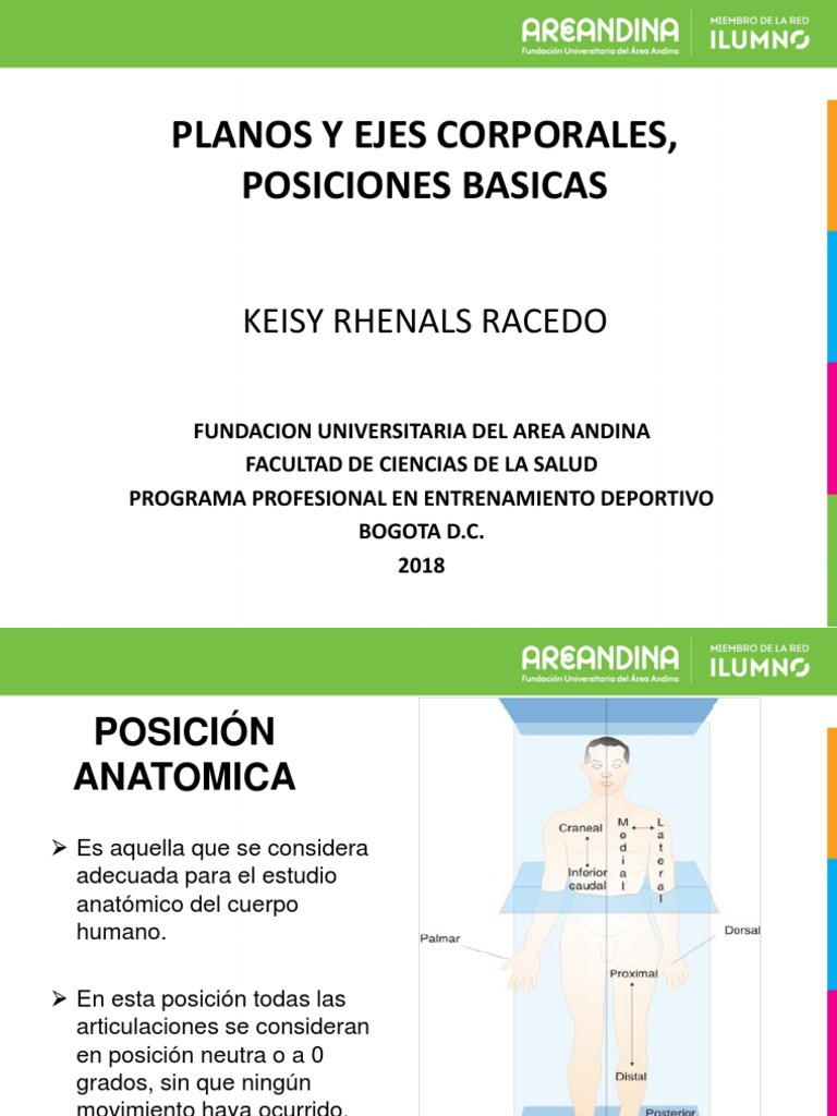 Planos y Ejes Corporales | PDF | Eje | Naturaleza