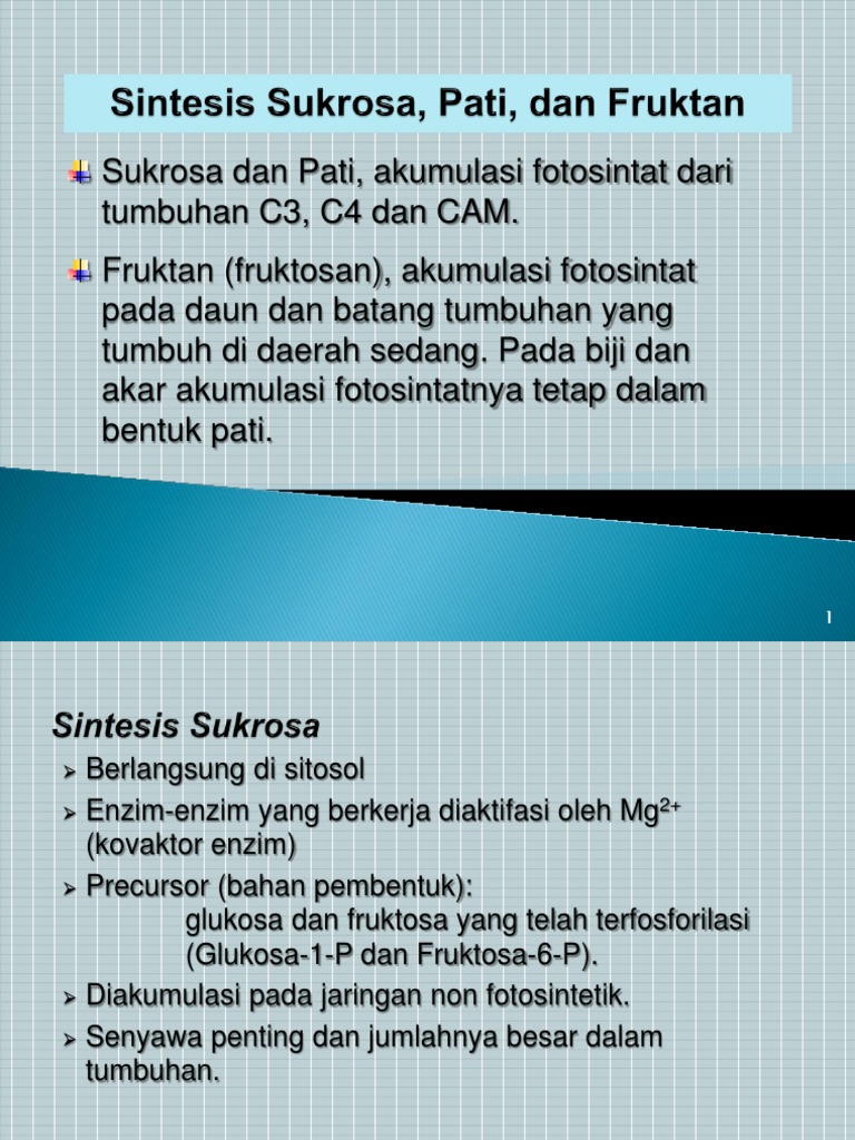 Sintesis Sukrosa, Pati, Dan Fruktan | PDF